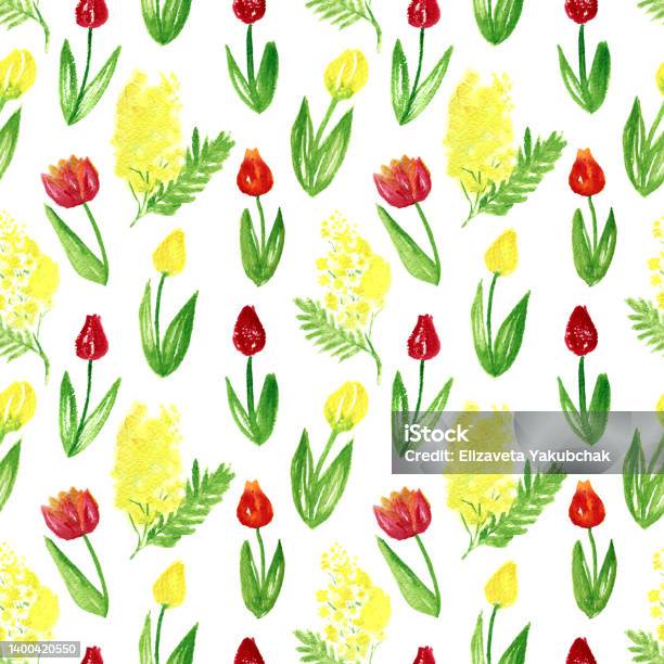 Pola Mulus Cat Air Tangan Menggambar Tulip Dan Mimosa Dalam Gaya Sketsa