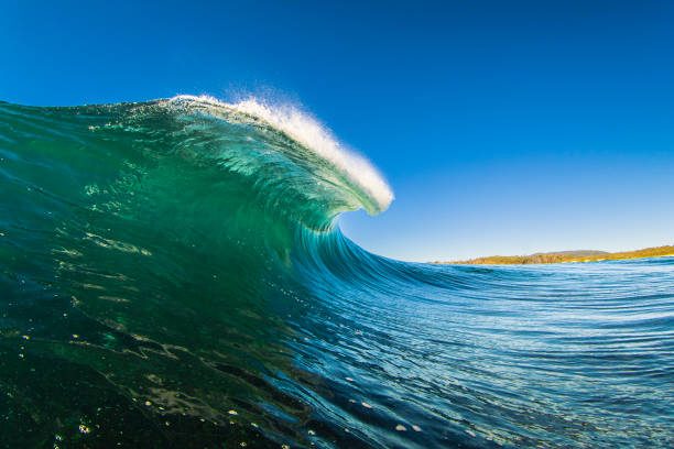 Green Wave Pictures | Download Free Images on Unsplash