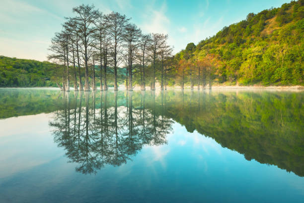 Free picture: Beautiful water reflection on lakeside in mountains with ...