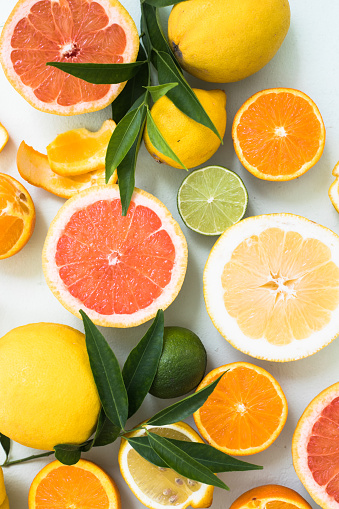 Irisan Segar Dari Berbagai Jenis Jeruk Jeruk Jeruk Nipis Lemon ... Irisan Segar Dari Berbagai Jenis Jeruk Jeruk Jeruk Nipis Lemon ...