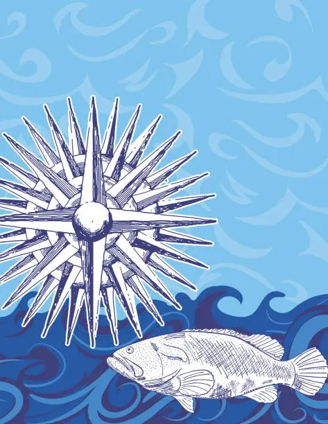 Free Printable Compass Rose Illustrations And Vectors Templates Icons