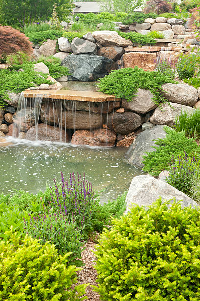 690+ Garden Pond Stones Stock Photos, Pictures & Royalty-Free Images ... 690+ Garden Pond Stones Stock Photos, Pictures & Royalty-Free Images ...