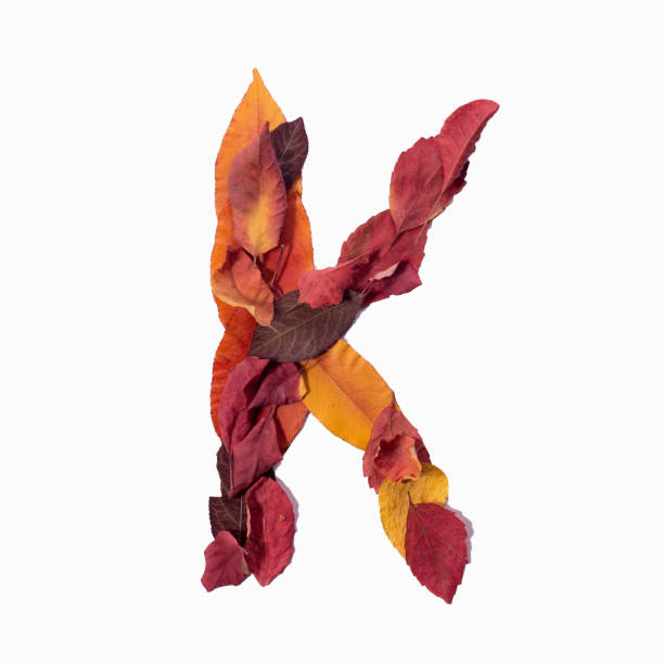 K Beauty Pictures | Download Free Images on Unsplash