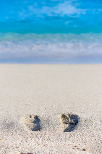Water Mark Pictures | Download Free Images on Unsplash