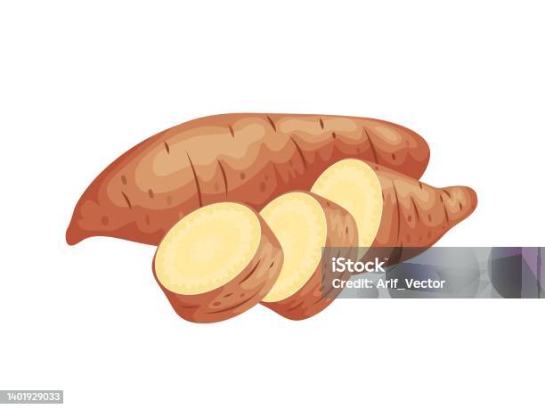 Ilustrasi Vektor Ubi Jalar Dengan Kulit Coklat Diisolasi Di Atas Putih