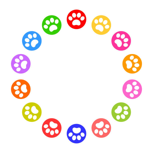 Free Stock Photo of Rainbow colored dog paw prints. | Download Free ...