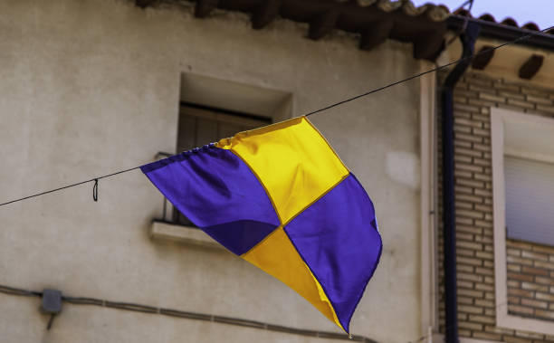 Bunt Pictures | Download Free Images on Unsplash