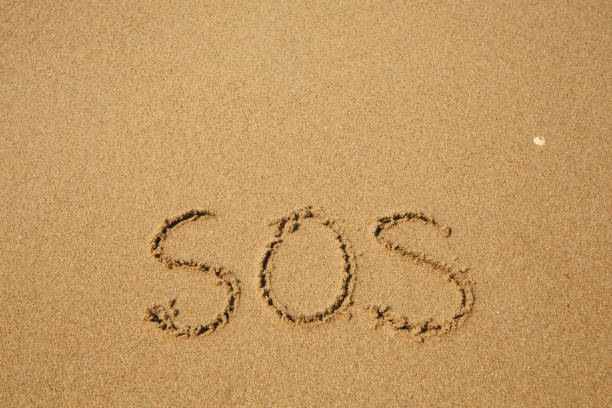 Sos Pictures | Download Free Images on Unsplash