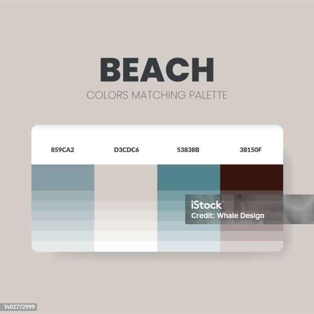 Ide Skema Warna Nada Pantai Palet Warna Adalah Kombinasi Tren Dan