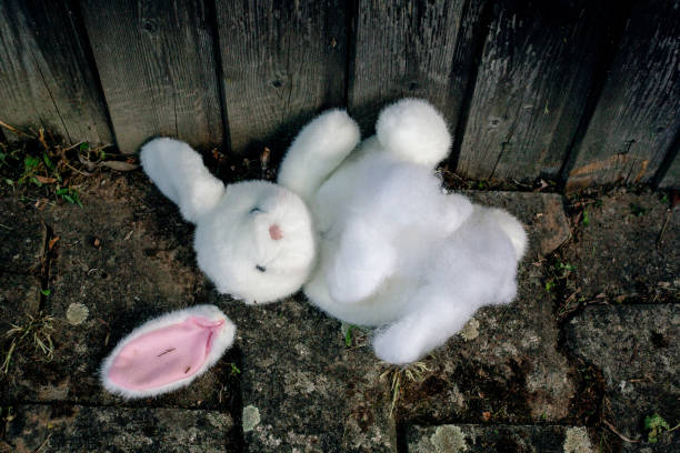 Broken Toy Pictures | Download Free Images on Unsplash