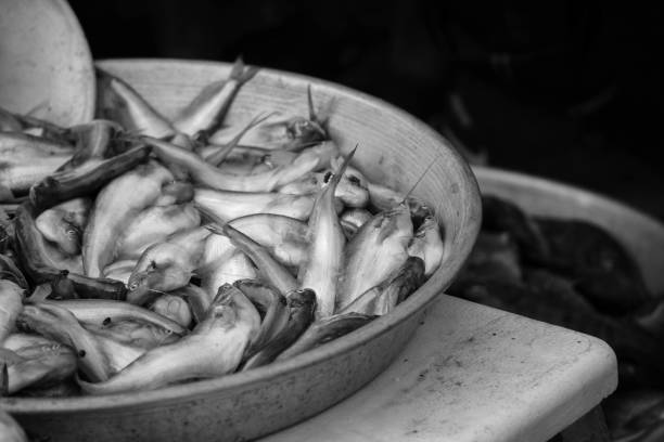 Free Stock Photo of Bustling Fish Market in Black and White | Download ...