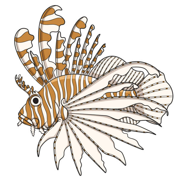 Lionfish Coloring Pages