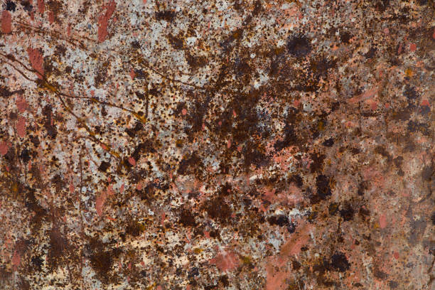 Free picture: Rusty metal of oil barrel close-up texture