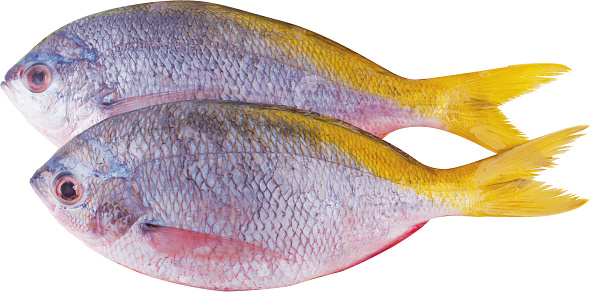 Ikan Ekor Kuning Mentah Warna Merah Muda Makanan Laut Sirip Sirip Ekor ... Ikan Ekor Kuning Mentah Warna Merah Muda Makanan Laut Sirip Sirip Ekor ...