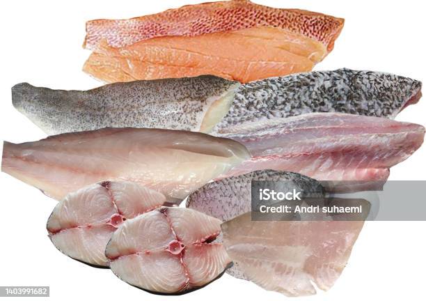 Irisan Mentah Makanan Laut Ikan Makanan Sirip Hewan Sirip Ekor Ekor ... Irisan Mentah Makanan Laut Ikan Makanan Sirip Hewan Sirip Ekor Ekor ...