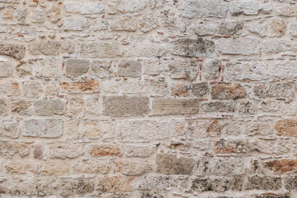 500+ Brick Wall Pictures & Images [HD] | Download Free Photos on Unsplash