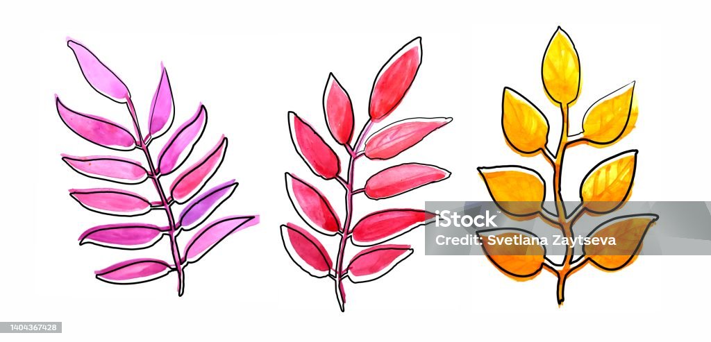 Ilustrasi Cat Air Daun Yang Digambar Tangan Satu Set Daun Cerah Disorot