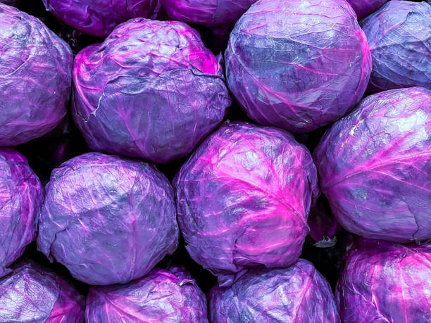 Free Stock Photo of Flat layer of purple cabbage on yellow surface ...