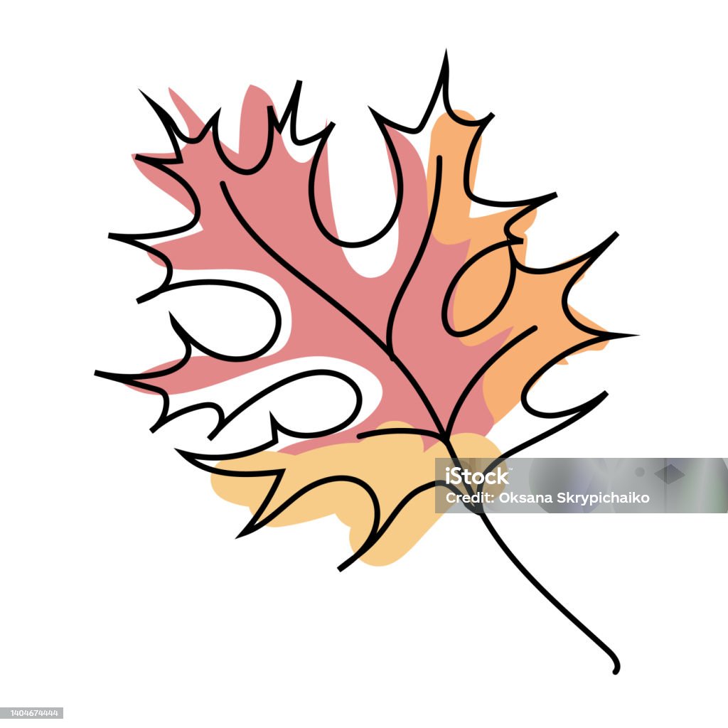 Autumn Leaf Of Red Oak Tree Isolated On White Background Maple Leaves In Linear Art With The