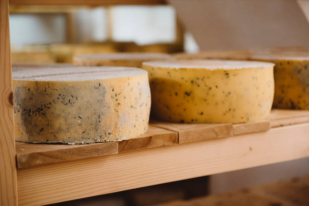Free dairy processing stock photos. Download the best free dairy ...