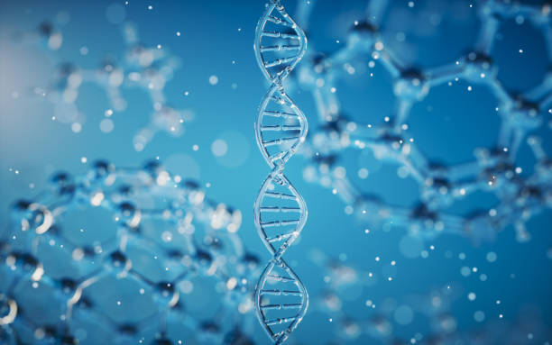 760+ Gene Inheritance Stock Photos, Pictures & Royalty-Free Images - iStock 760+ Gene Inheritance Stock Photos, Pictures & Royalty-Free Images - iStock