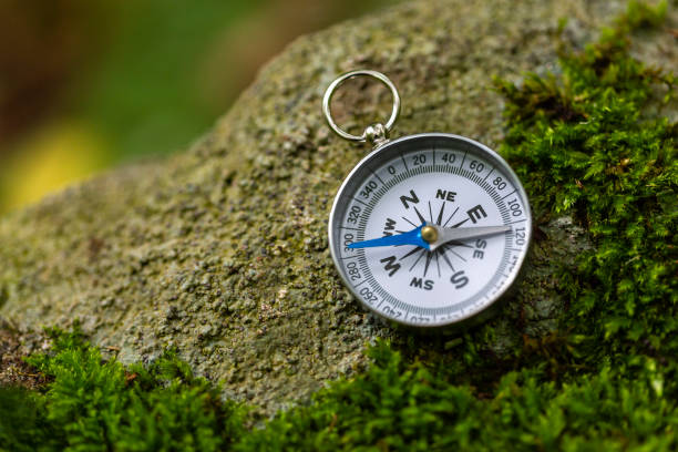 Free Stock Photo of Gold Compass on Rock | Download Free Images and ...