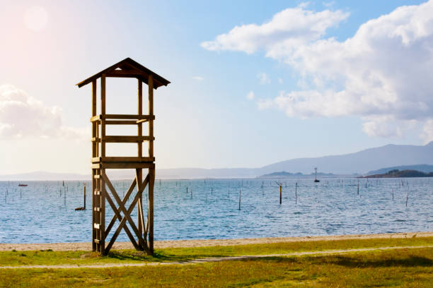 Watchtower Pictures | Download Free Images on Unsplash