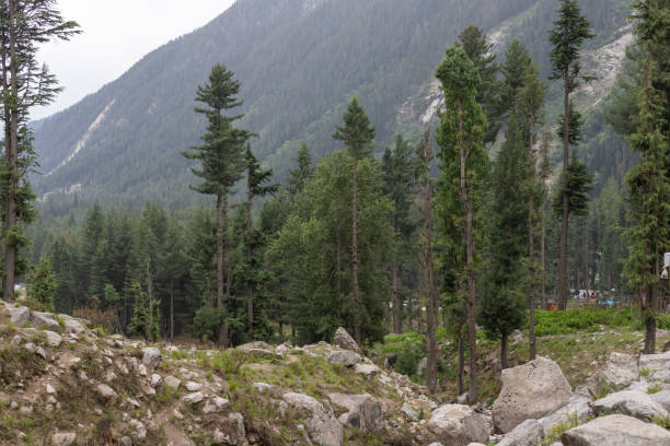 Kumrat Valley Pictures | Download Free Images on Unsplash