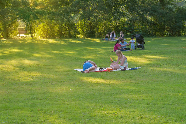 Free Stock Photo of Group of People Sitting on Top of a Lush Green Park ...