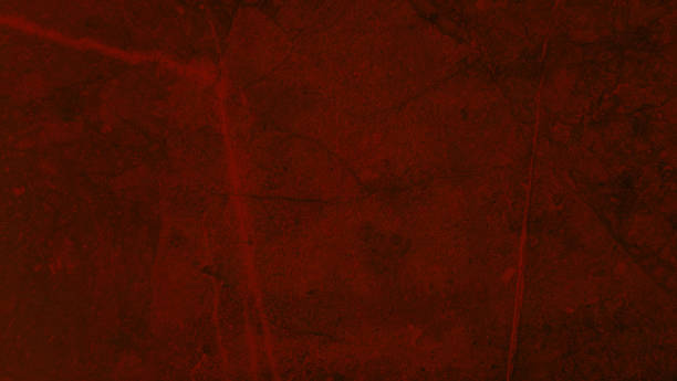 Free picture: Group of dark red stain spots on a reddish surface