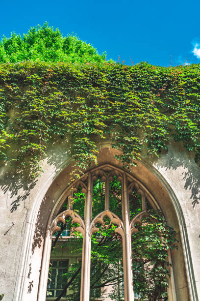 500+ Gothic Pictures | Download Free Images on Unsplash