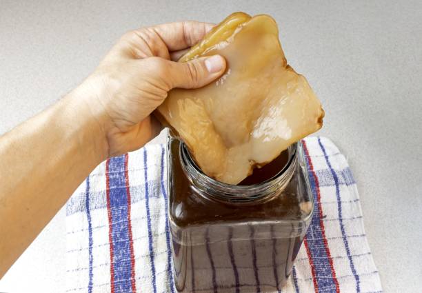 Scoby Pictures | Download Free Images on Unsplash