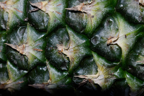 Free Stock Photo of Abstract view of pineapple texture | Download Free ...