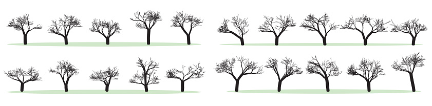 Ensemble Darbres Vectoriels Isilhouettes Noir Et Blanc Sans Feuilles