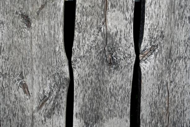 Free picture: decay, dirty, plank, vertical, texture, wooden, knot ...