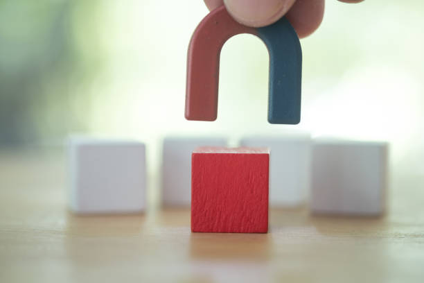 Magnet Pictures | Download Free Images & Stock Photos on Unsplash