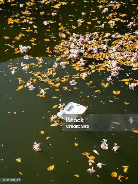 Sampah Busa Mengambang Di Permukaan Sungai Foto Stok - Unduh Gambar ... Sampah Busa Mengambang Di Permukaan Sungai Foto Stok - Unduh Gambar ...