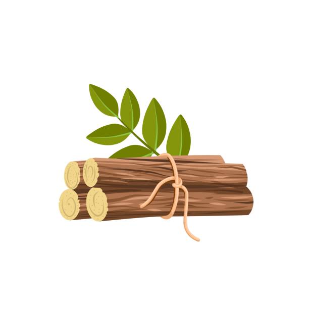 2000 Licorice Stock Illustrations Royalty Free Vector Graphics
