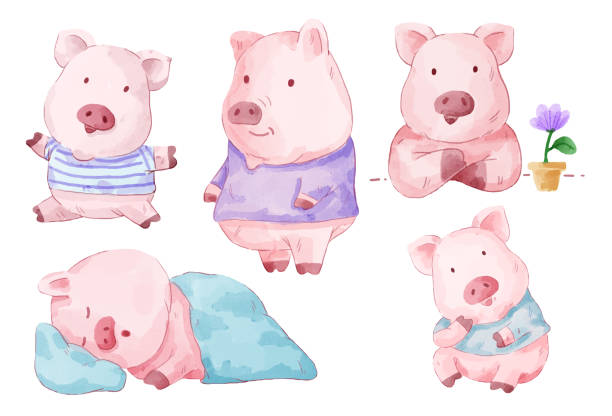 Standing Pig Clipart