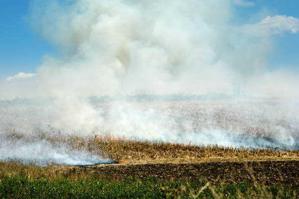 Free Stock Photo of Fire Burning in Field | Download Free Images and ...