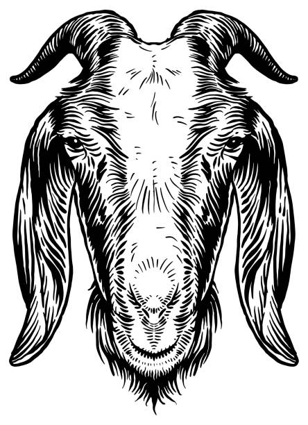 Over 100 Free Goat Vectors - Pixabay