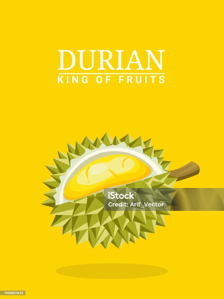 Ilustrasi Vektor Buah Durian Mengambang Diisolasi Dengan Latar Belakang Kuning Cocok Untuk