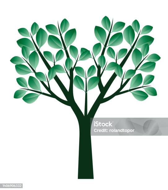 Forme De Larbre Isolé Sur Fond Blanc Illustration Vectorielle Vecteurs