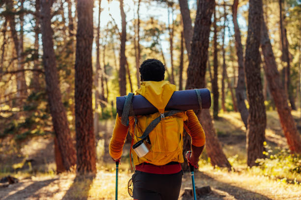 Free Stock Photo of Person hiking in forest with yellow backpack ...