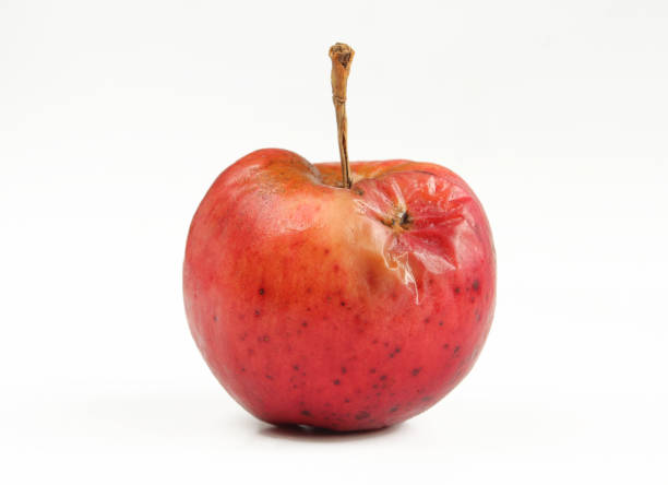 Rotten Apple Pictures | Download Free Images on Unsplash