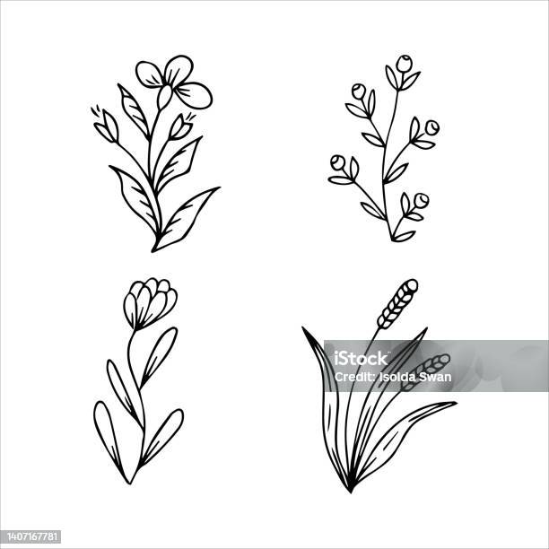 Koleksi Elemen Bunga Botani Yang Digambar Tangan Untuk Konsep Desain