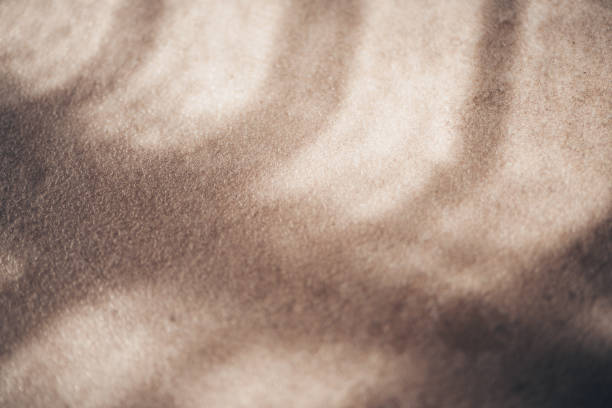 Light Theme Pictures | Download Free Images on Unsplash