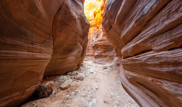Free picture: Shadow in narrow passage in canyon in desert natural park