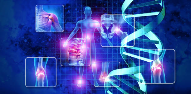 Free orthopedic stock photos. Download the best free orthopedic images ...