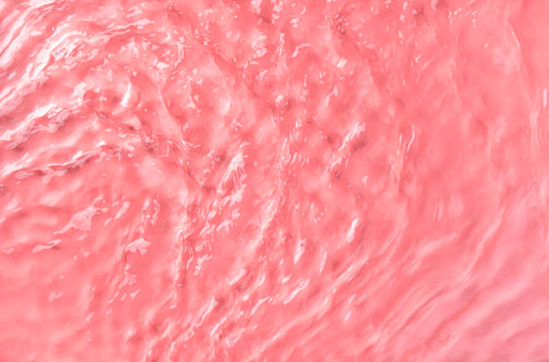 Coral Pink Pictures | Download Free Images on Unsplash